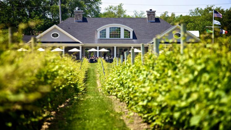 NYC Weekend Getaway: 10 Perfect Long Island Vineyards - CitySignal