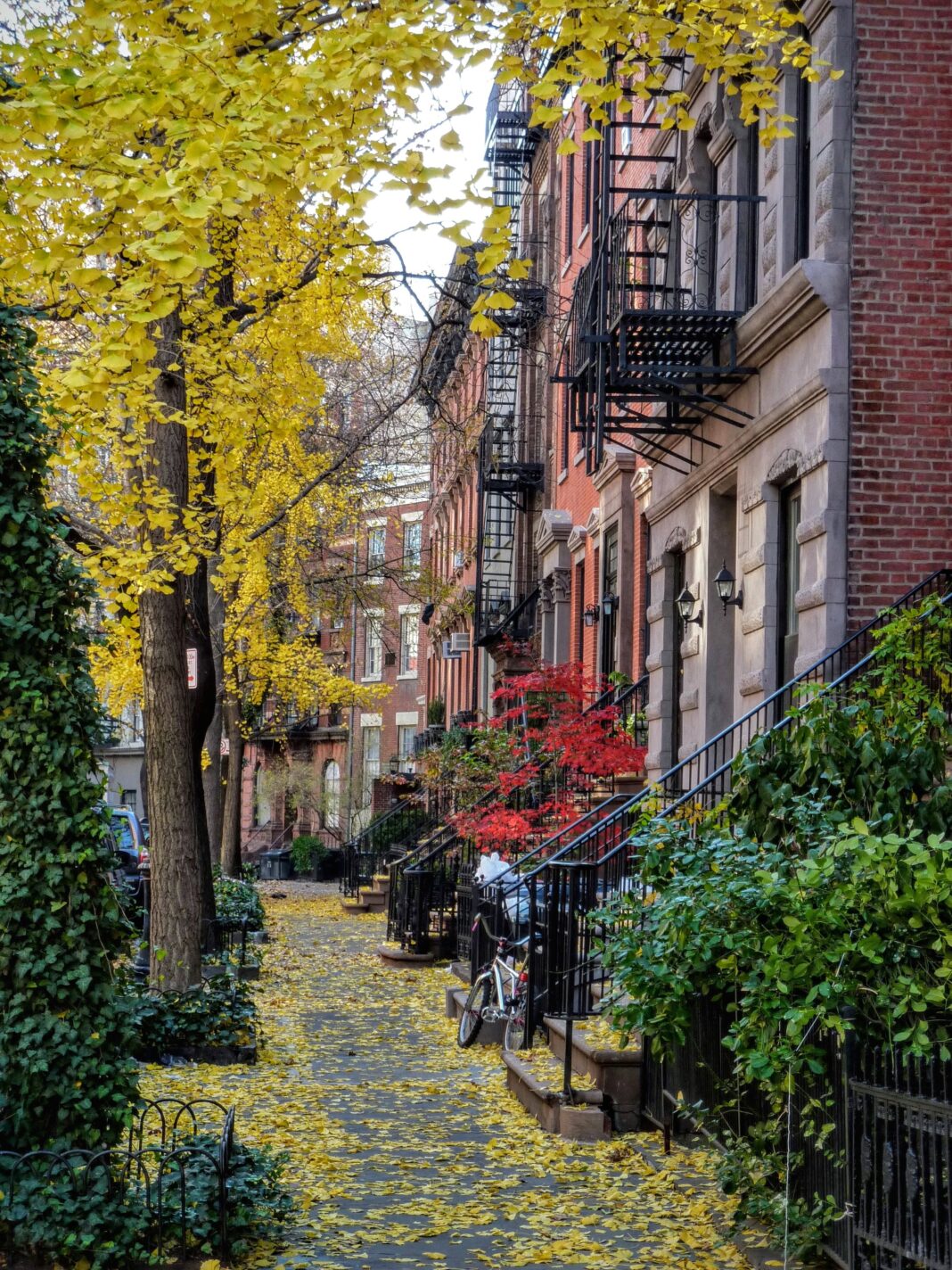 The Legacy of Doris Diether and Greenwich Village - CitySignal