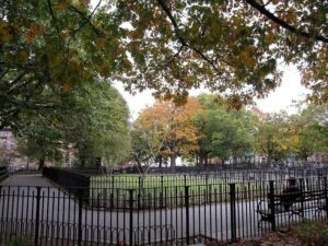 Clinton Hill, Brooklyn Neighborhood Guide: A Small and Relaxing Haven ...